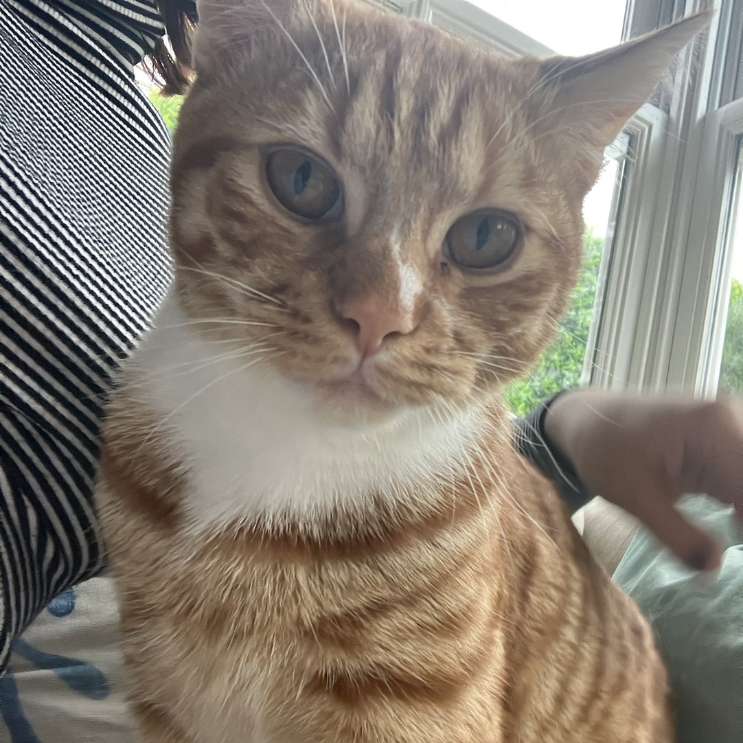 HGC Cat 1 | Connect Without Limits